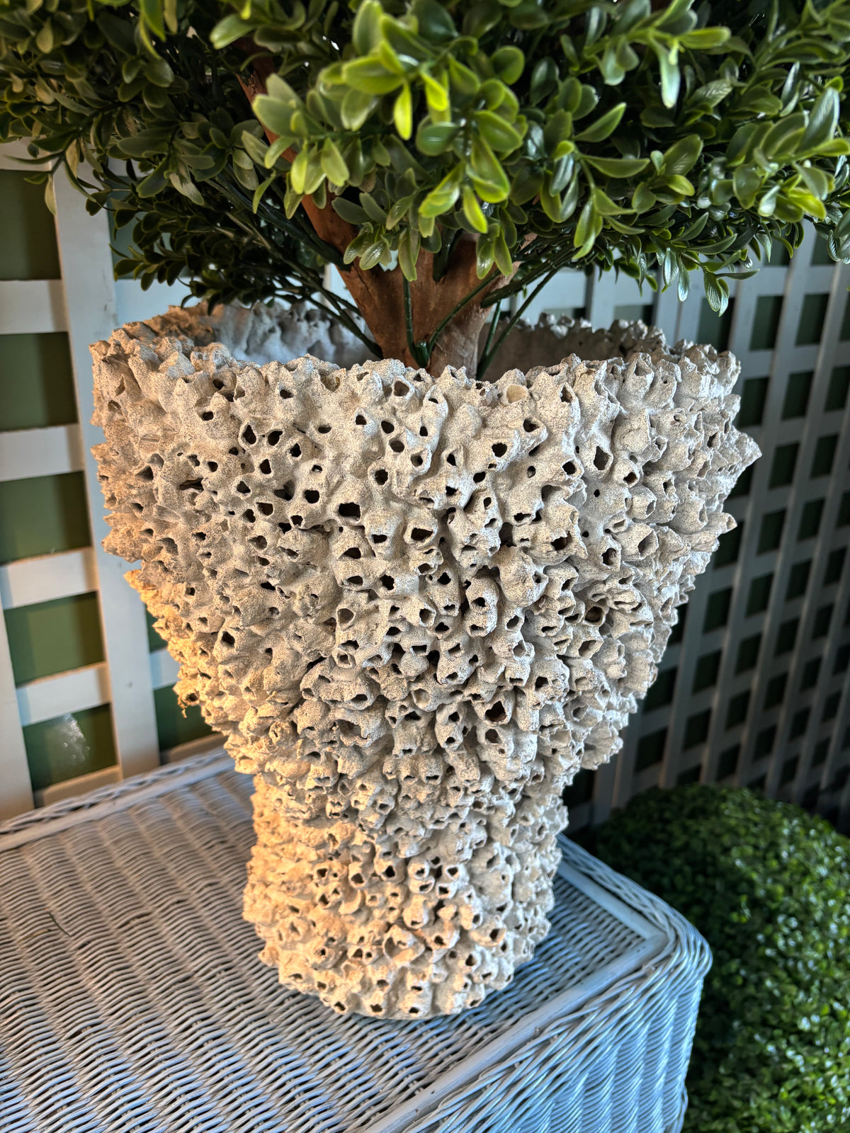 Terracotta Barnacle Pot - Medium– Isla Design